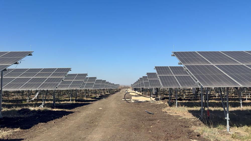 What is a Solar Project Developer?